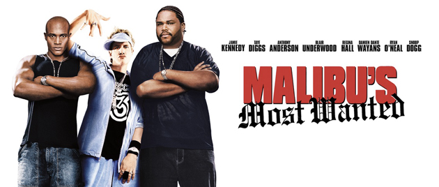 Malibus Most Wanted (2003)