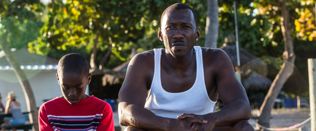 Moonlight (2016) | Afro Style Communication